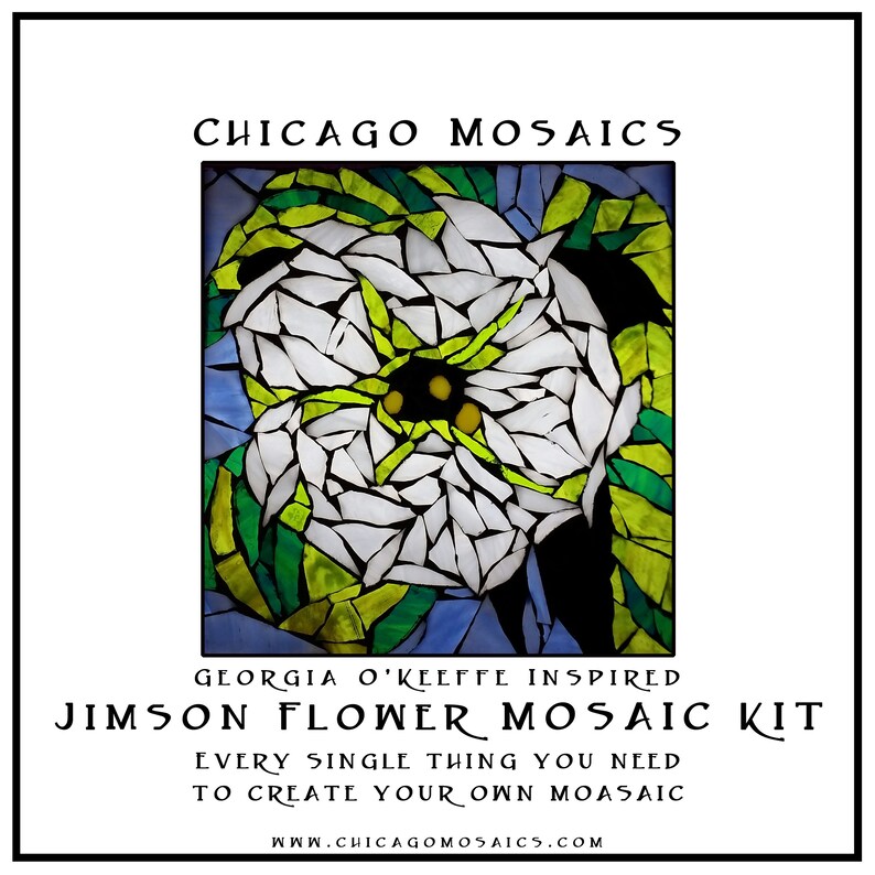 Jimson Flower Mosaic DIY Art Kit - Etsy