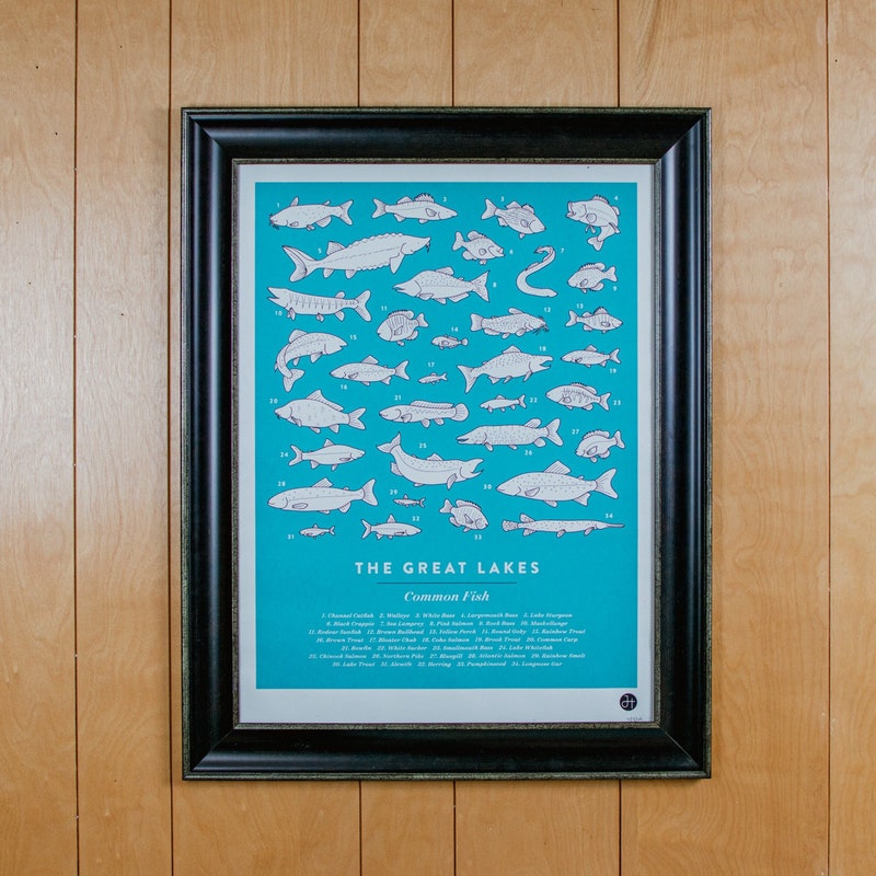 Fish Poster - Etsy