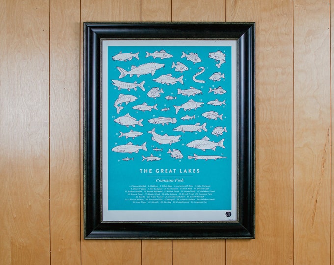 Great Lakes Common Fish Poster - Etsy