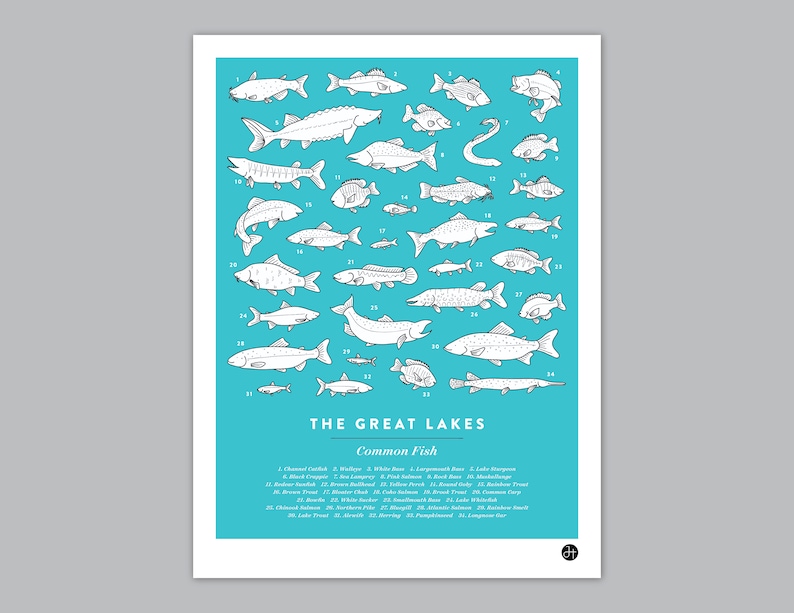Great Lakes Common Fish Poster - Etsy