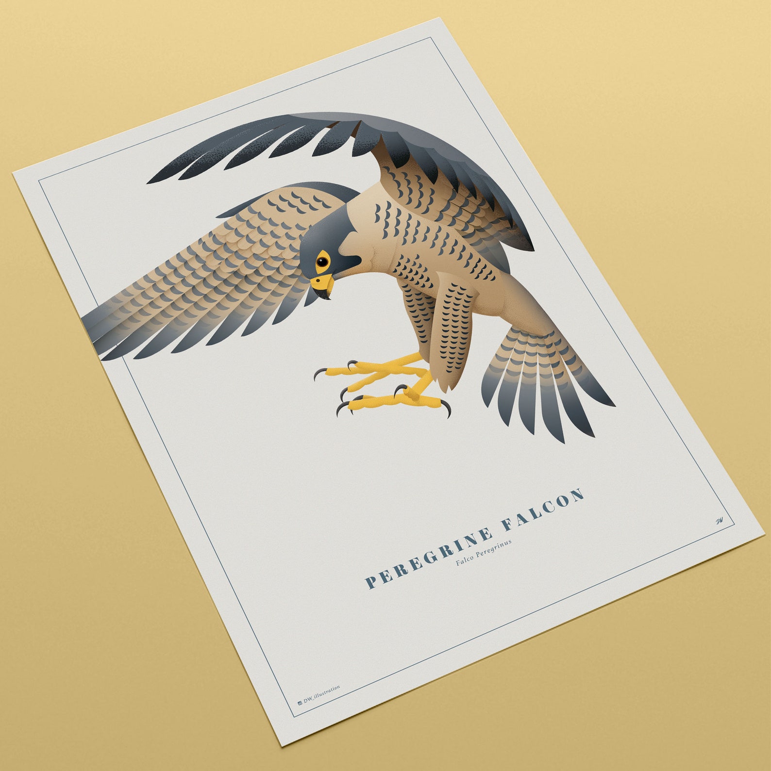 Peregrine Falcon A3 Print - Etsy