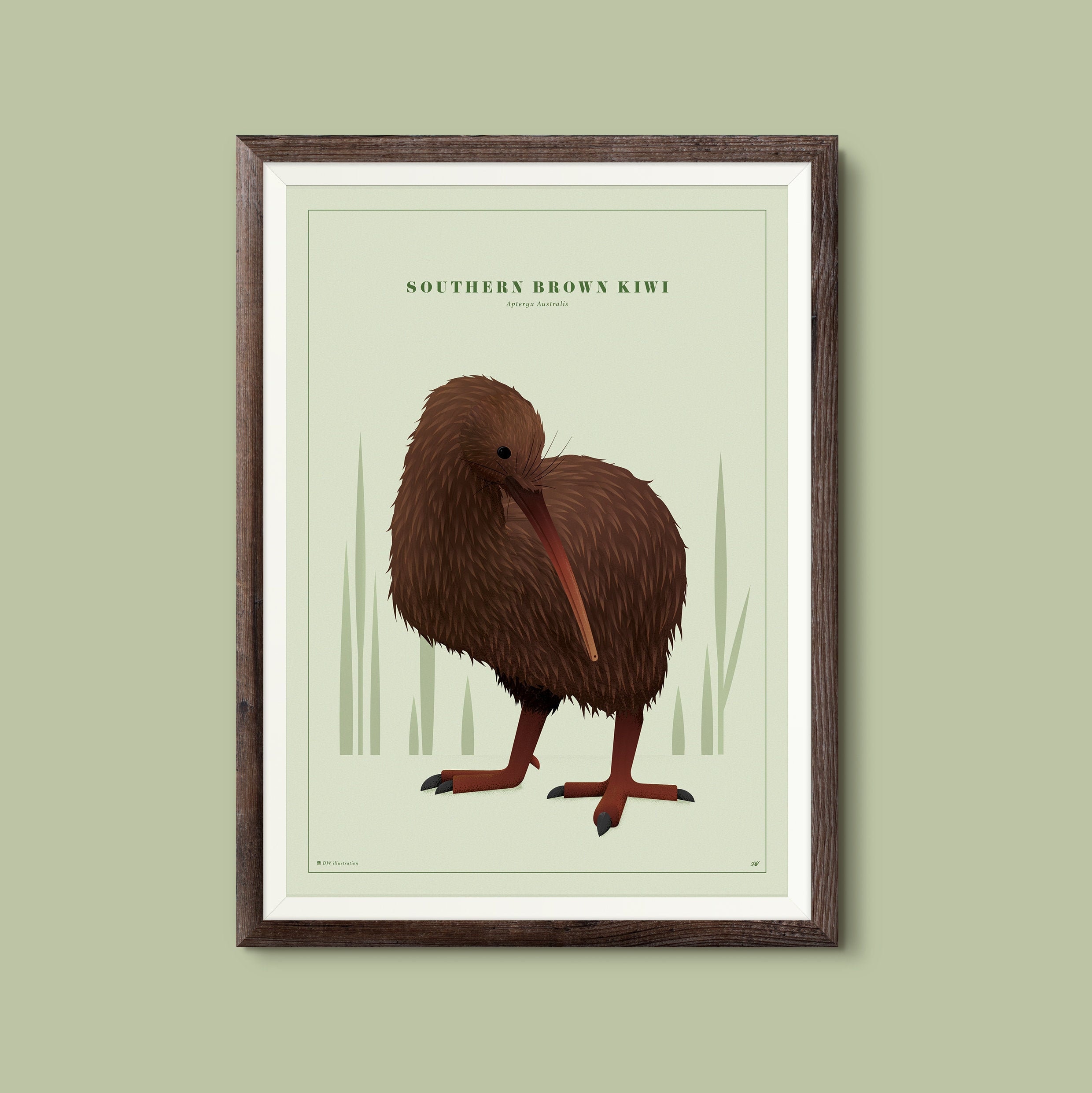 Southern Brown Kiwi (A3 Print) - Etsy