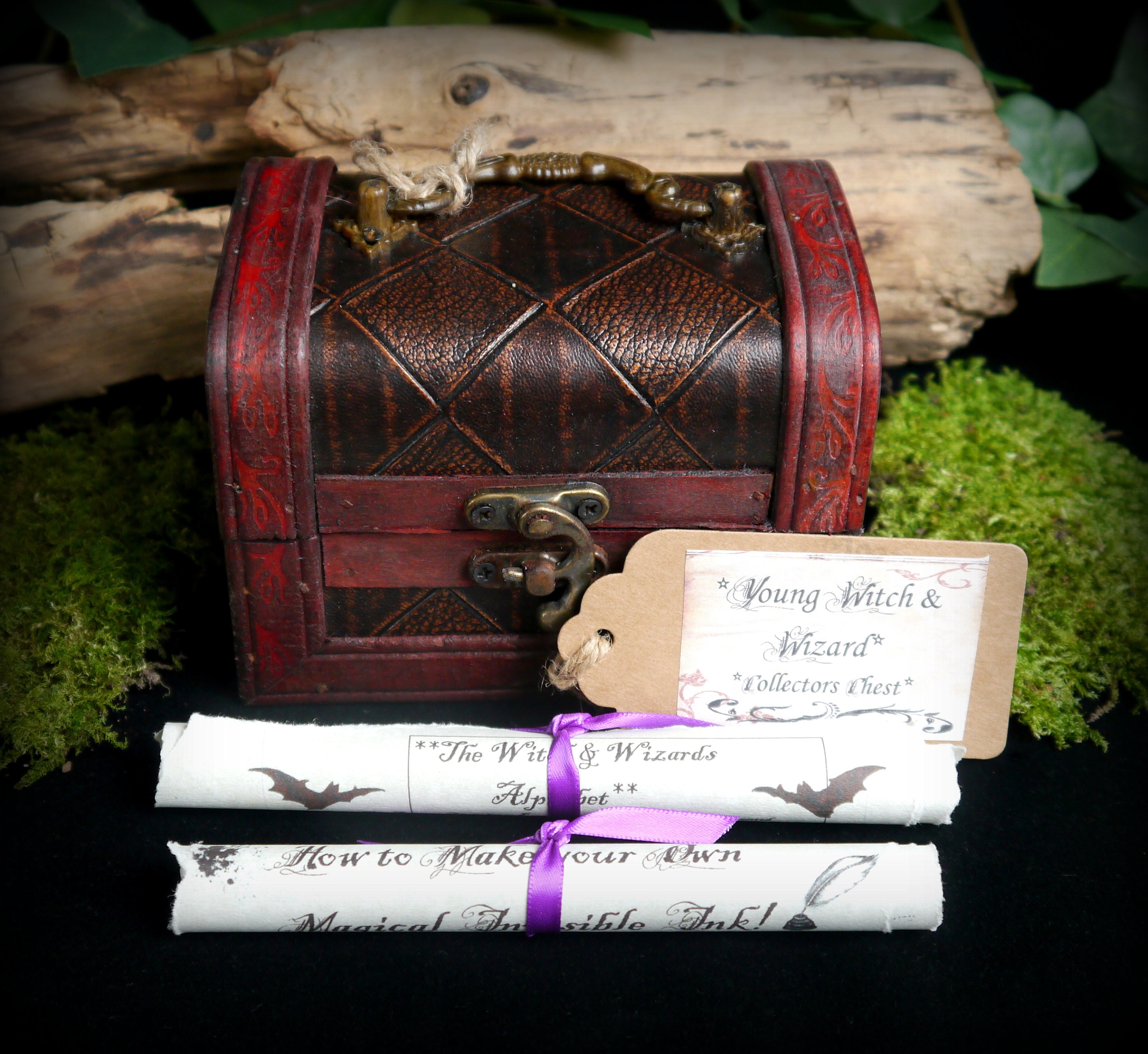 Young Witch and Wizard Collector Chest Starter Kit With Fairy | Etsy