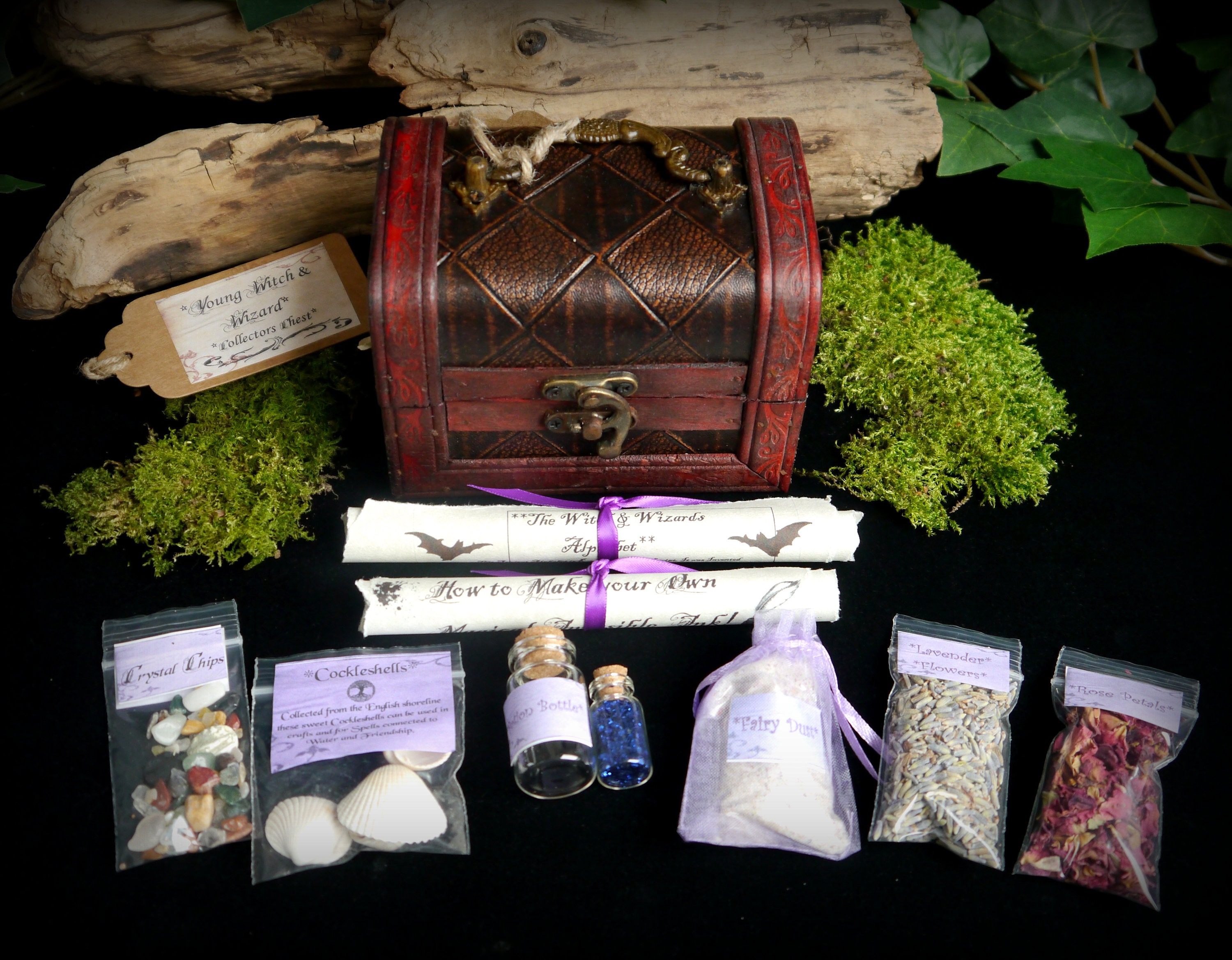 Young Witch and Wizard Collector Chest Starter Kit With Fairy | Etsy