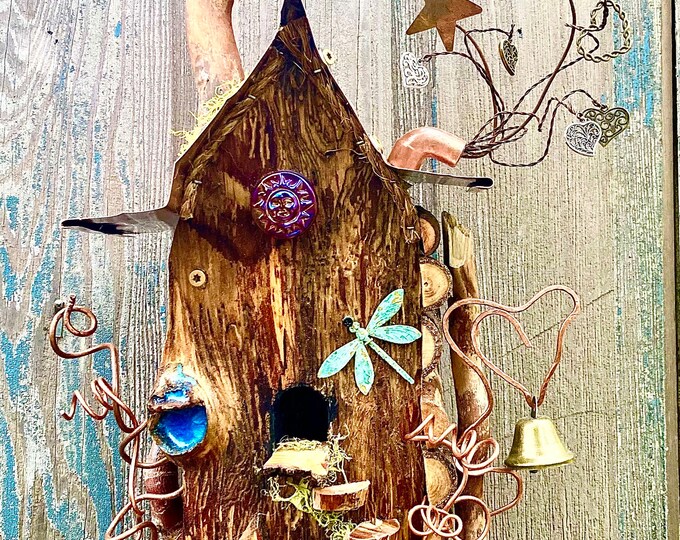 Birdhouse, Bird House, Live Edge Worm Trail Wood Birdhouse, Extra Large ...