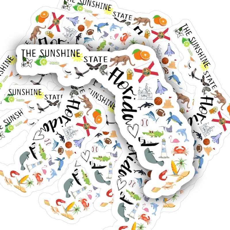 Florida Sticker - Etsy
