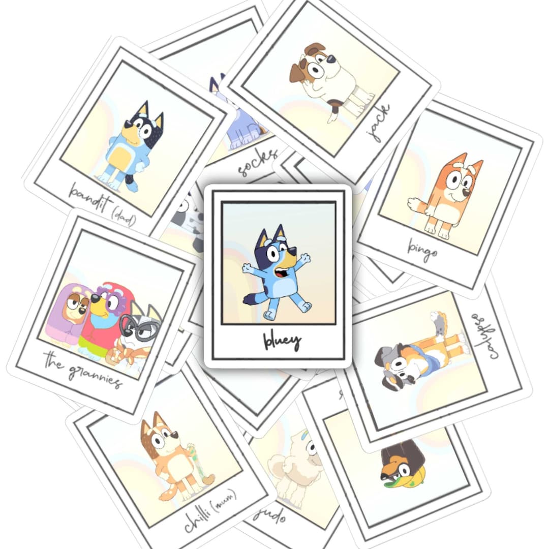 Bluey AND Friends Polaroid | Vinyl Sticker | Disney | Water Bottle ...