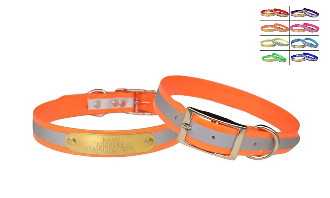 Reflective Dayglo Dog Collar With Brass ID Tag: Warner Sporting Made in ...