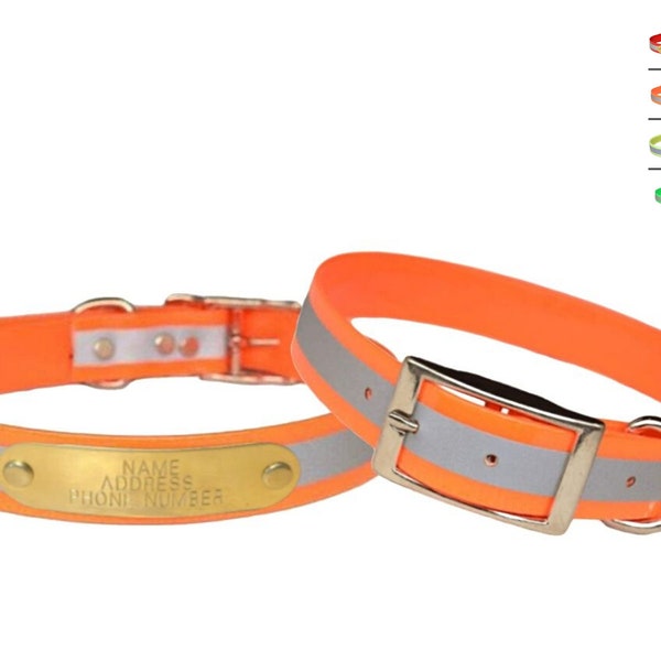 Dog Sporting Collar - Etsy