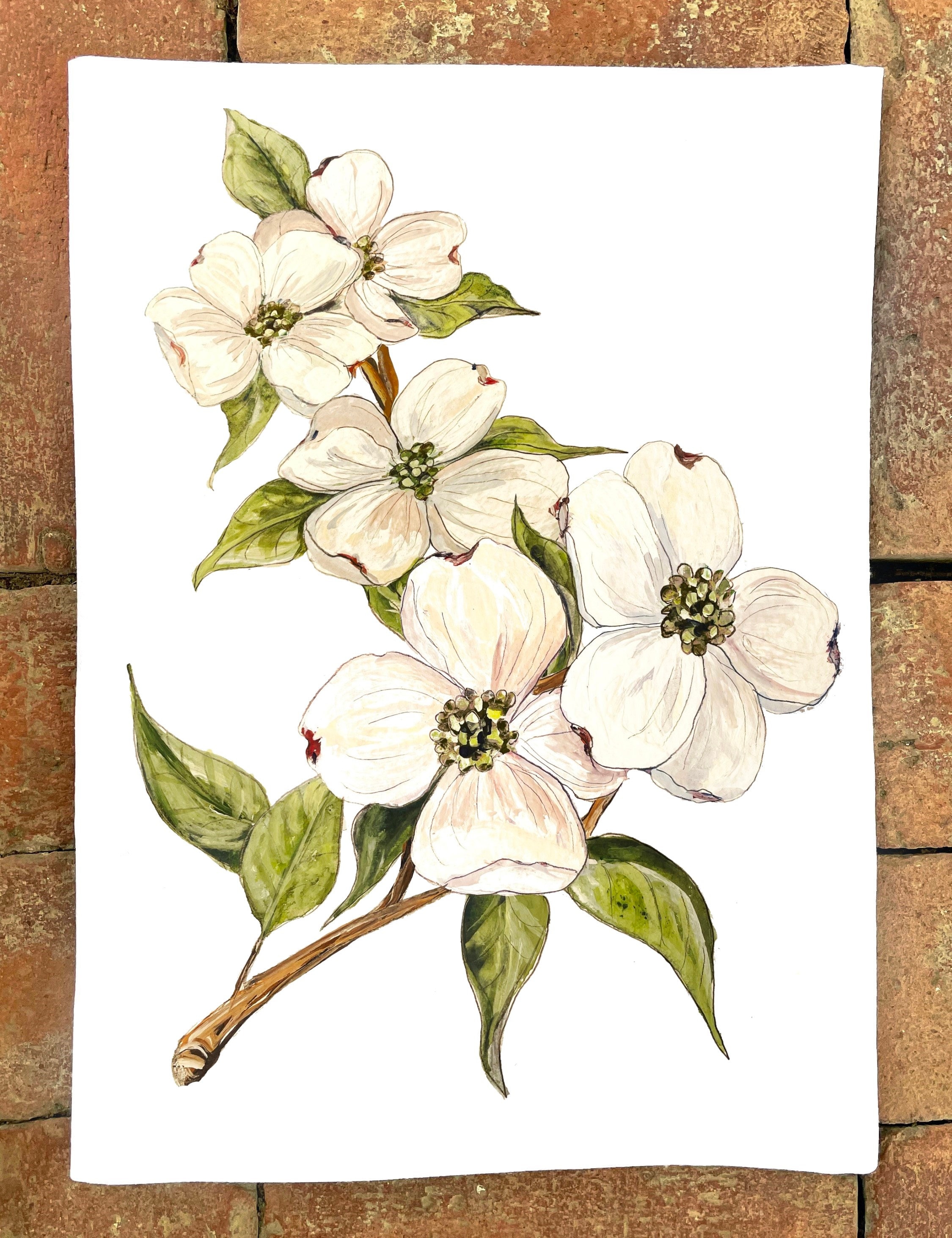 Dogwood Branch Drawing