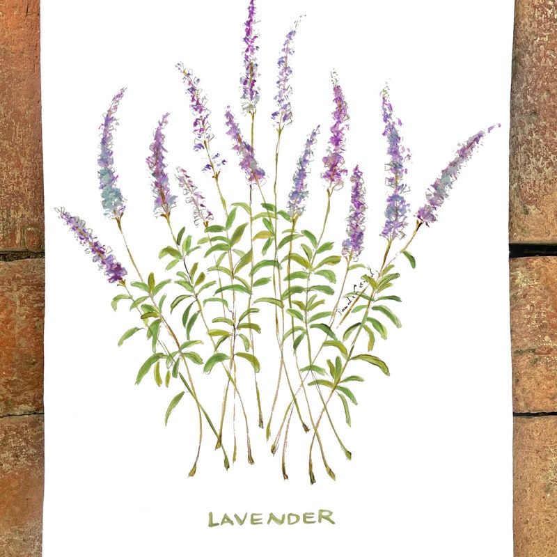 Lavender Kitchen - Etsy