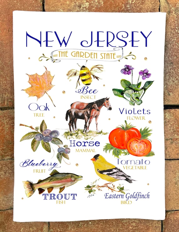 New Jersey State Symbols Design 0144 Flour Sack Kitchen - Etsy