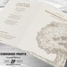 Oak Tree Modern Funeral Program Celebration of Life Program - Etsy