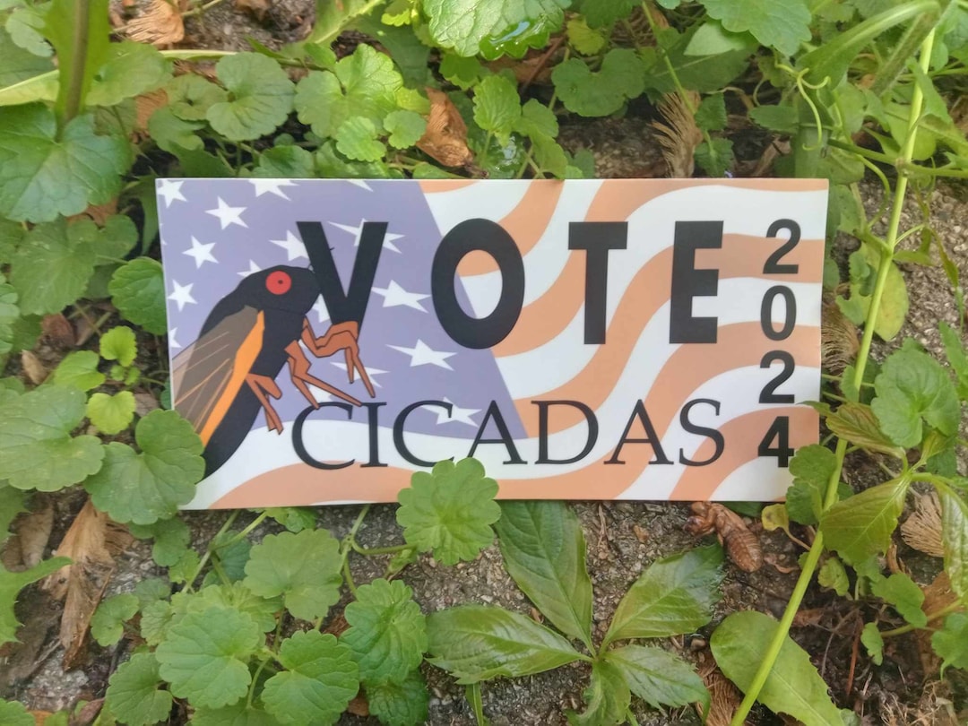 Cicada Vote 2024 Large Bumper Sticker President Election Entomology ...