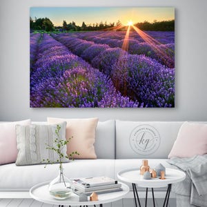 Landscape Photography, Lavender Field Photo, Large Wall Art, Canvas ...