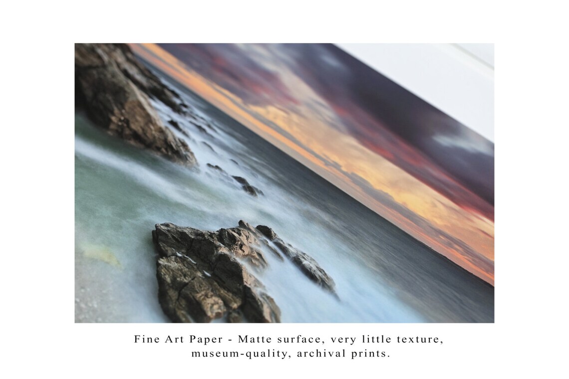 Nantucket Photography Middle Moors Sunset Serengeti Tree Photo - Etsy