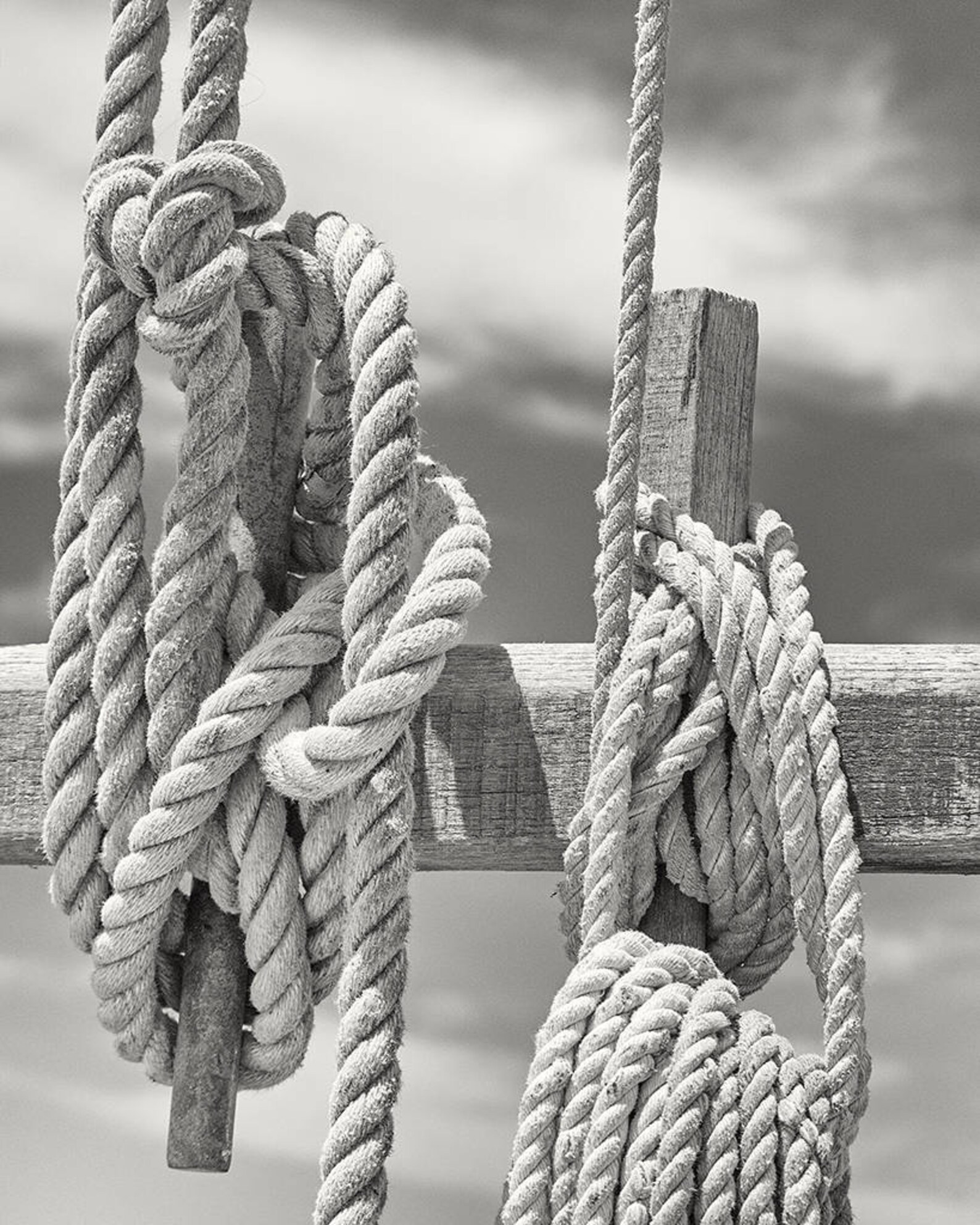 Sepia Nautical Print Sailboat Rope Photo Black & White - Etsy