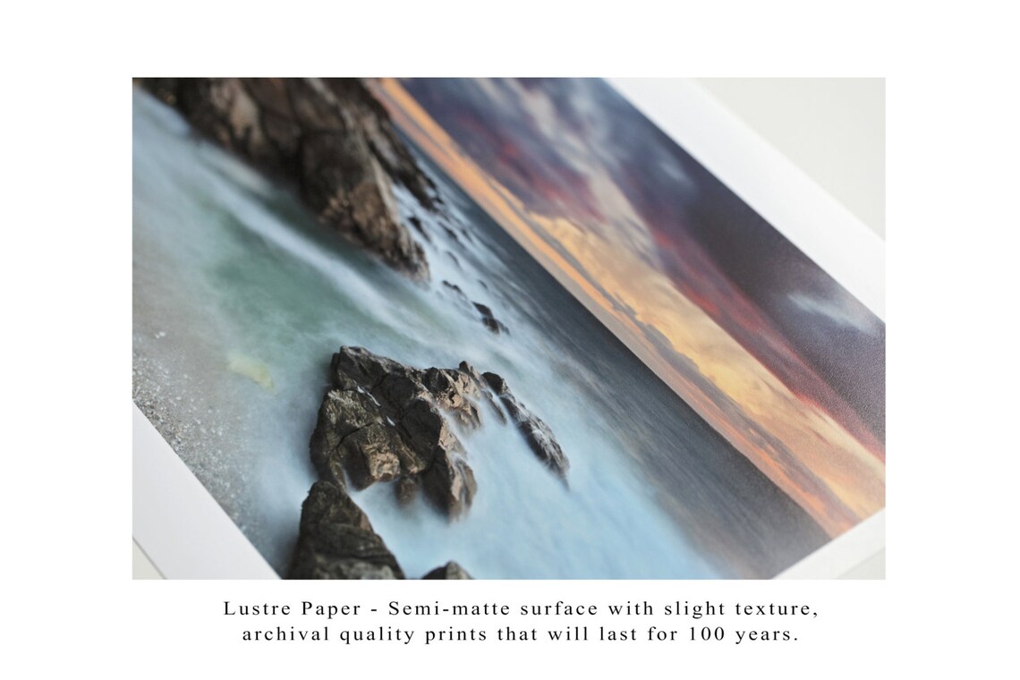 Nantucket Photography Middle Moors Sunset Serengeti Tree Photo | Etsy