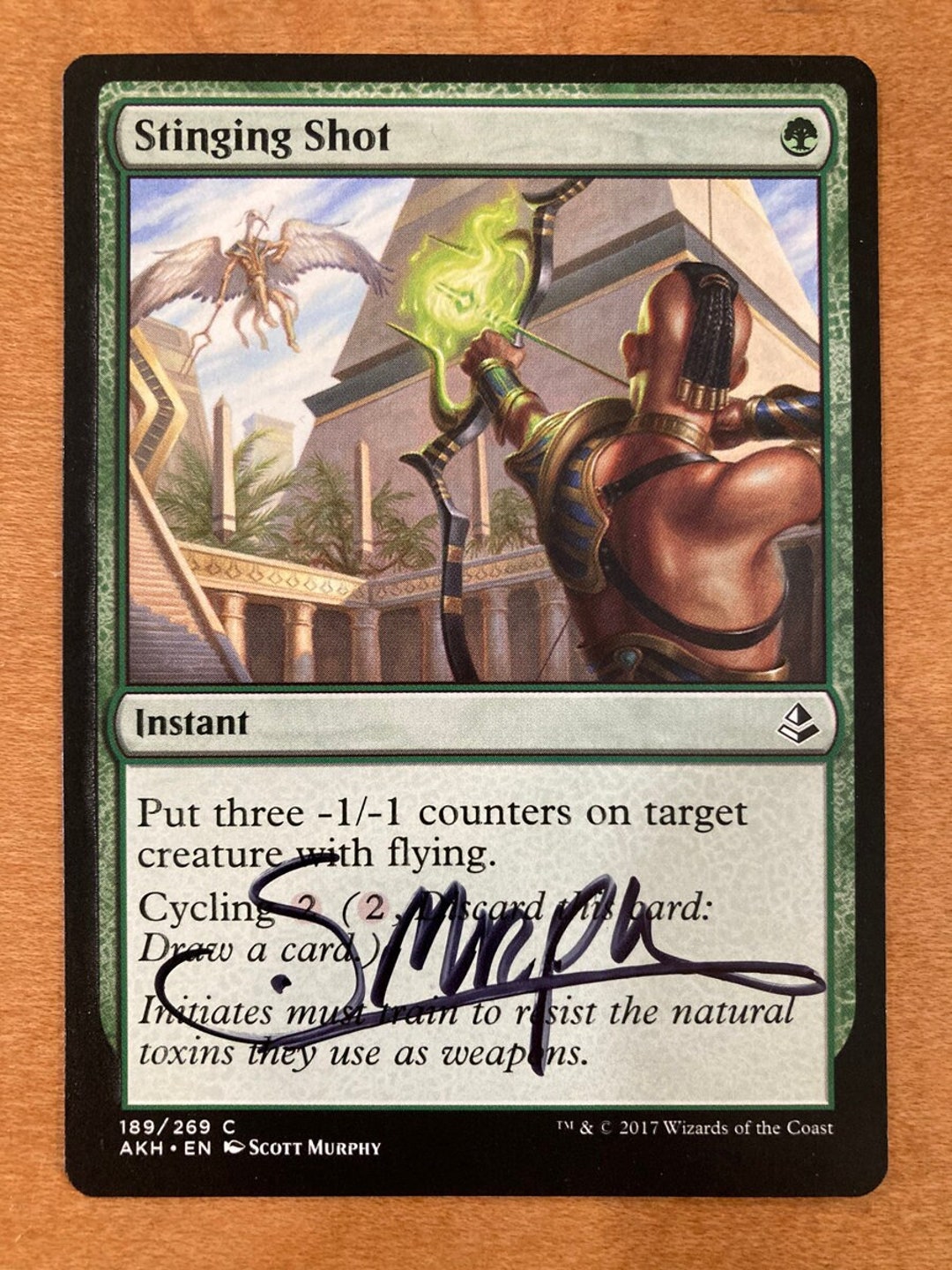 Stinging Shot, Limited Edition MTG Artist Proof, by Scott Murphy - Etsy
