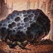 Meteorite Print of Magic: the Gathering Illustration by Scott | Etsy