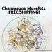 30 Champagne Wire Cages and Caps FREE SHIPPING - Etsy
