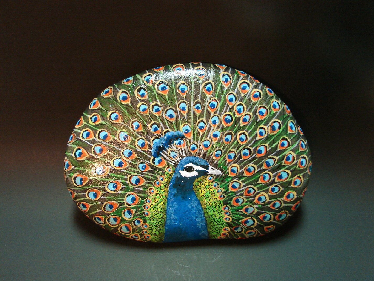 Commissioned for Sunshine world Peacock hand painted rock | Etsy