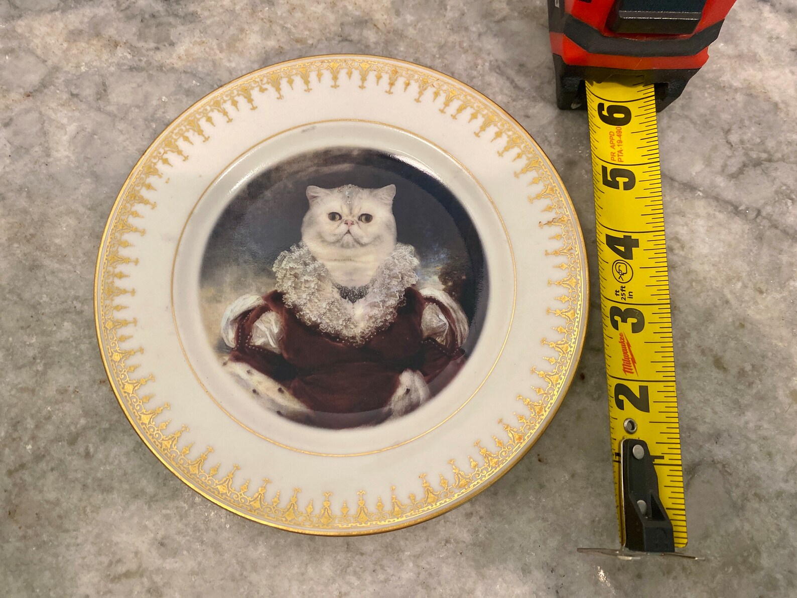 Limoges Cat Plate Artisan Angela Rossi Made in France Haviland - Etsy