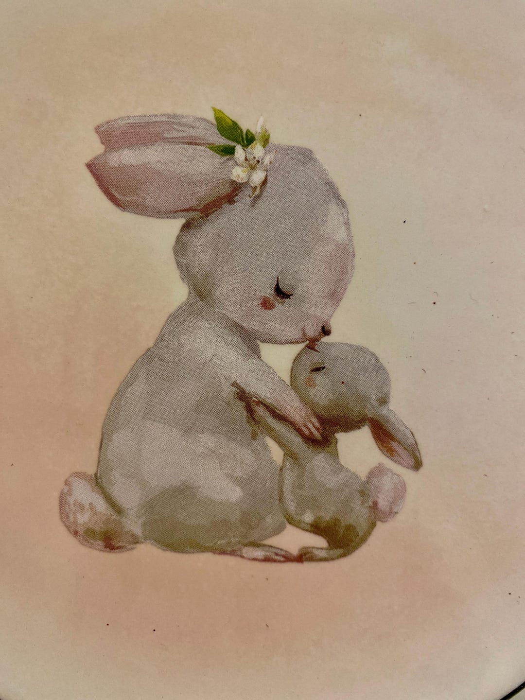 Cottage Core Bunny Plate , Mother and Child , French Cottage , Pink and ...