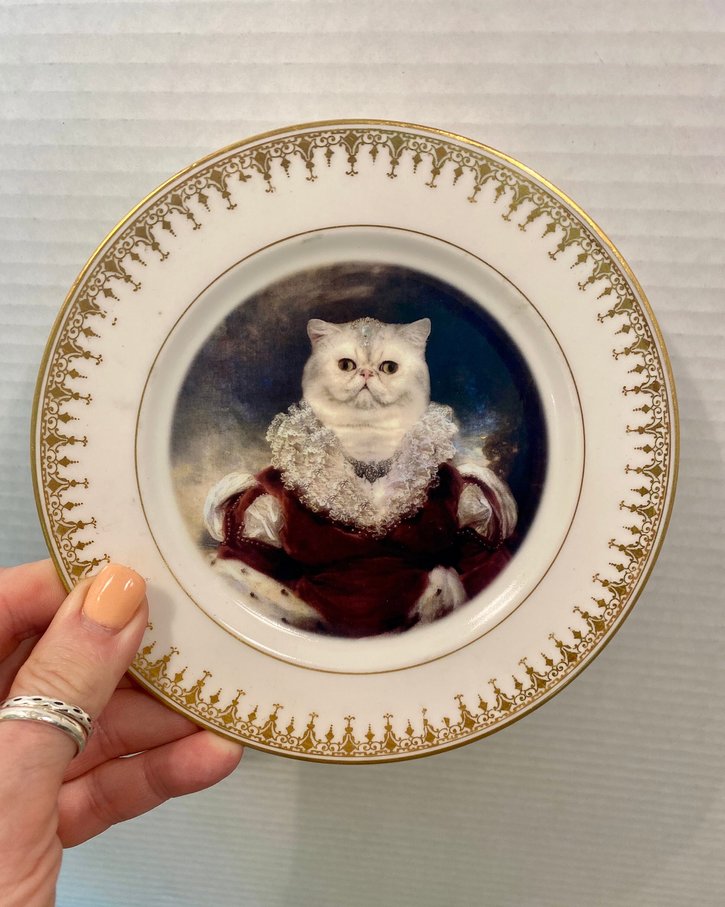Limoges Cat Plate Artisan Angela Rossi Made in France Haviland - Etsy