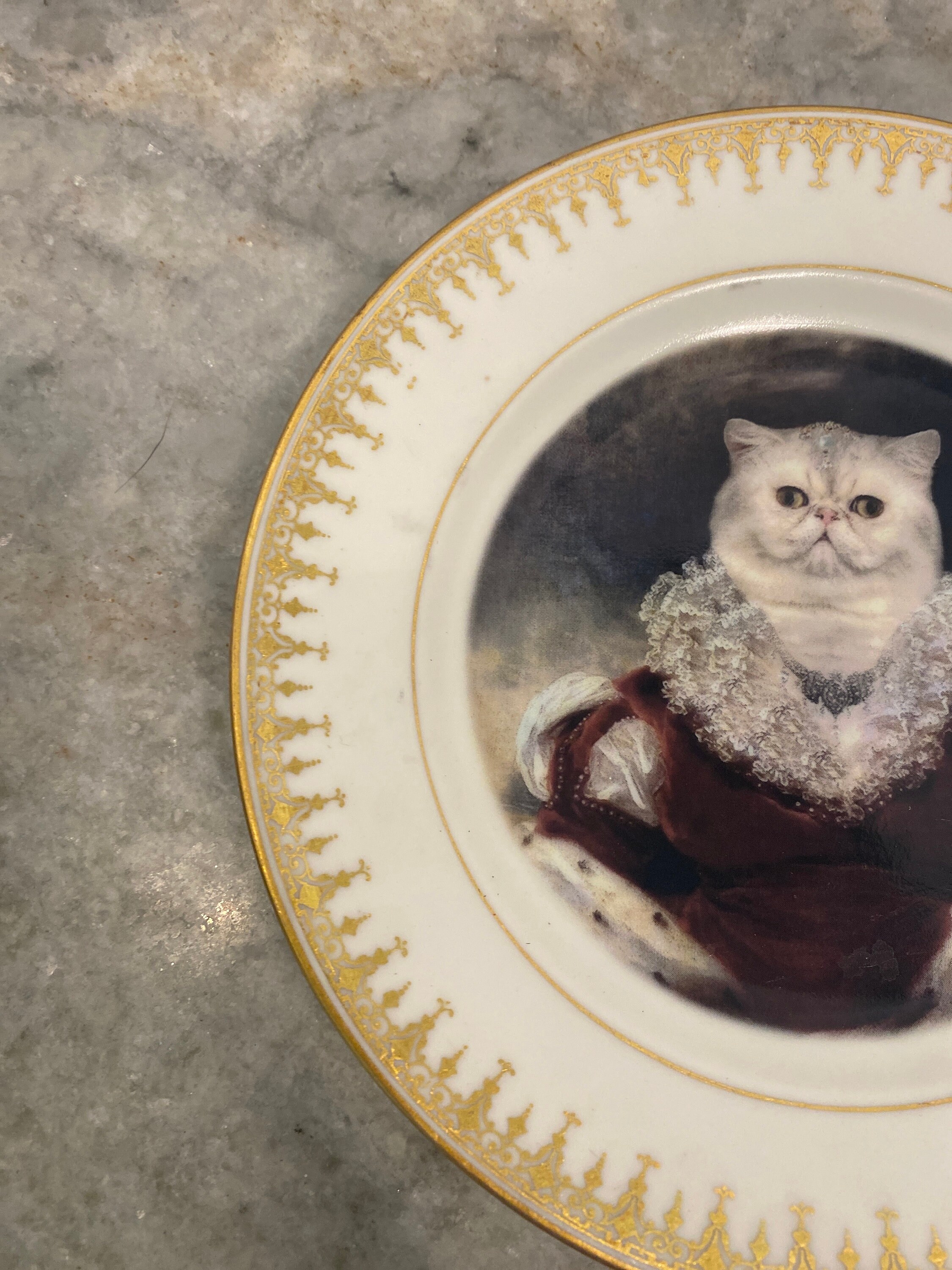 Limoges Cat Plate Artisan Angela Rossi Made in France Haviland - Etsy