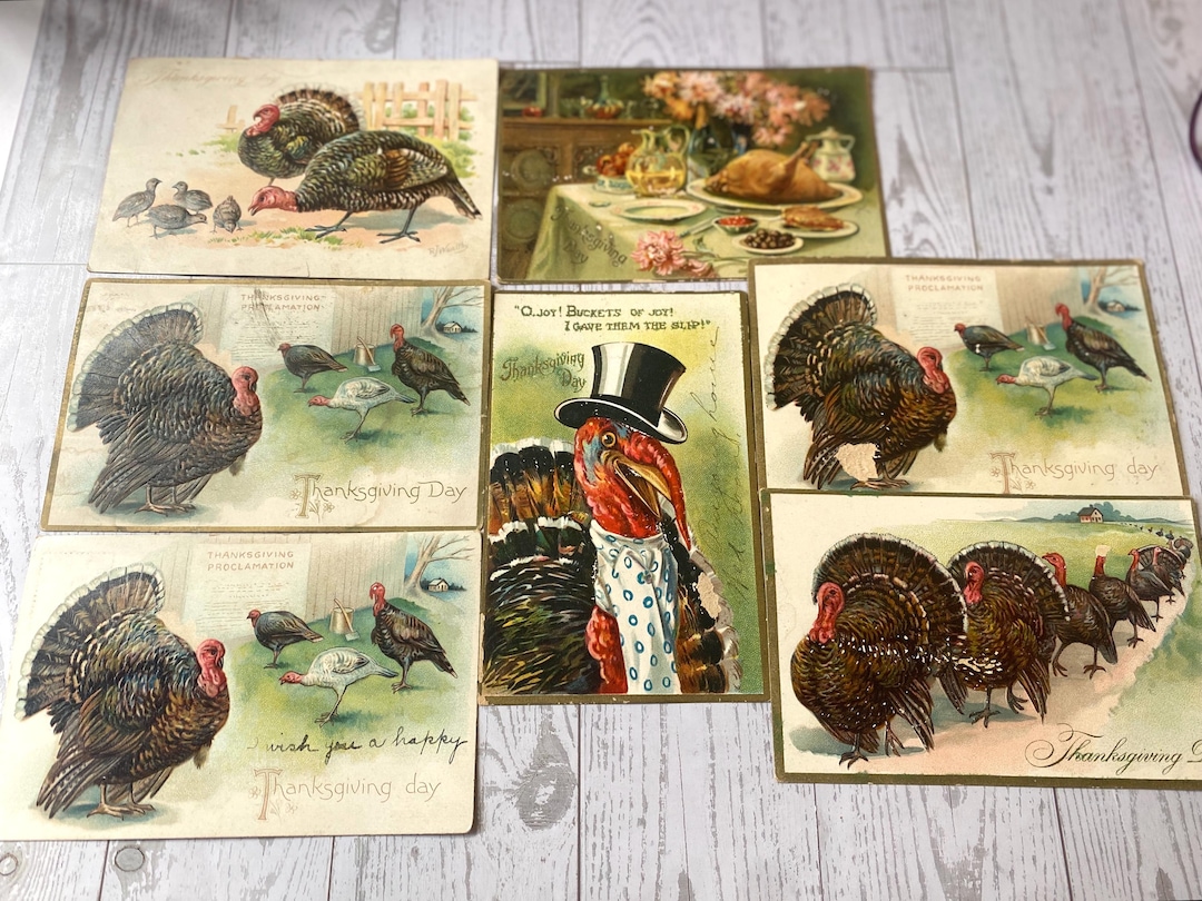 Antique Tuck Postcards Set of 7- 1908 to 1909 Thanksgiving Turkeys Fall ...