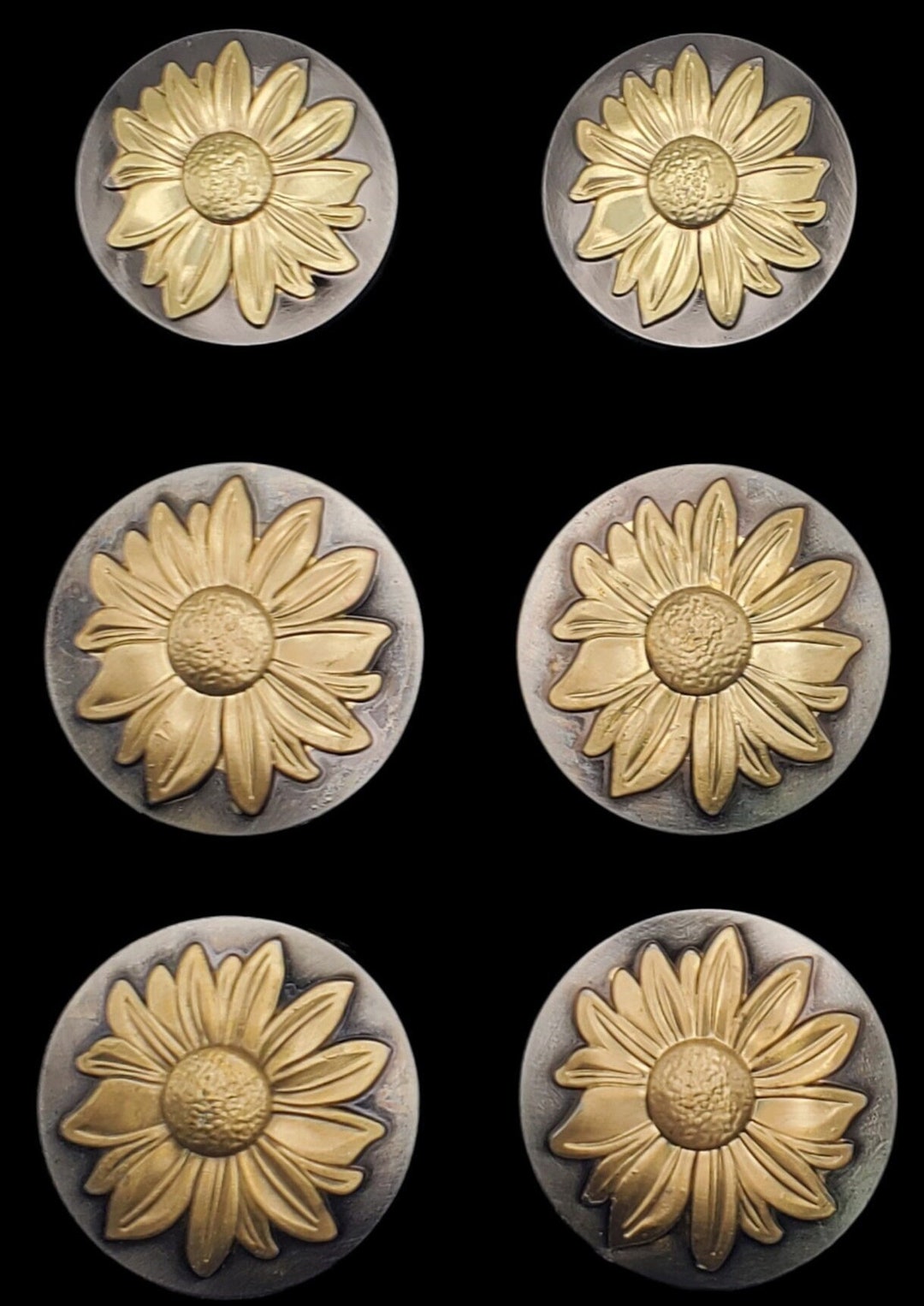 Set of 6 - Golden Flower Saddle Concho Set Antique Nickel and Brass - Etsy