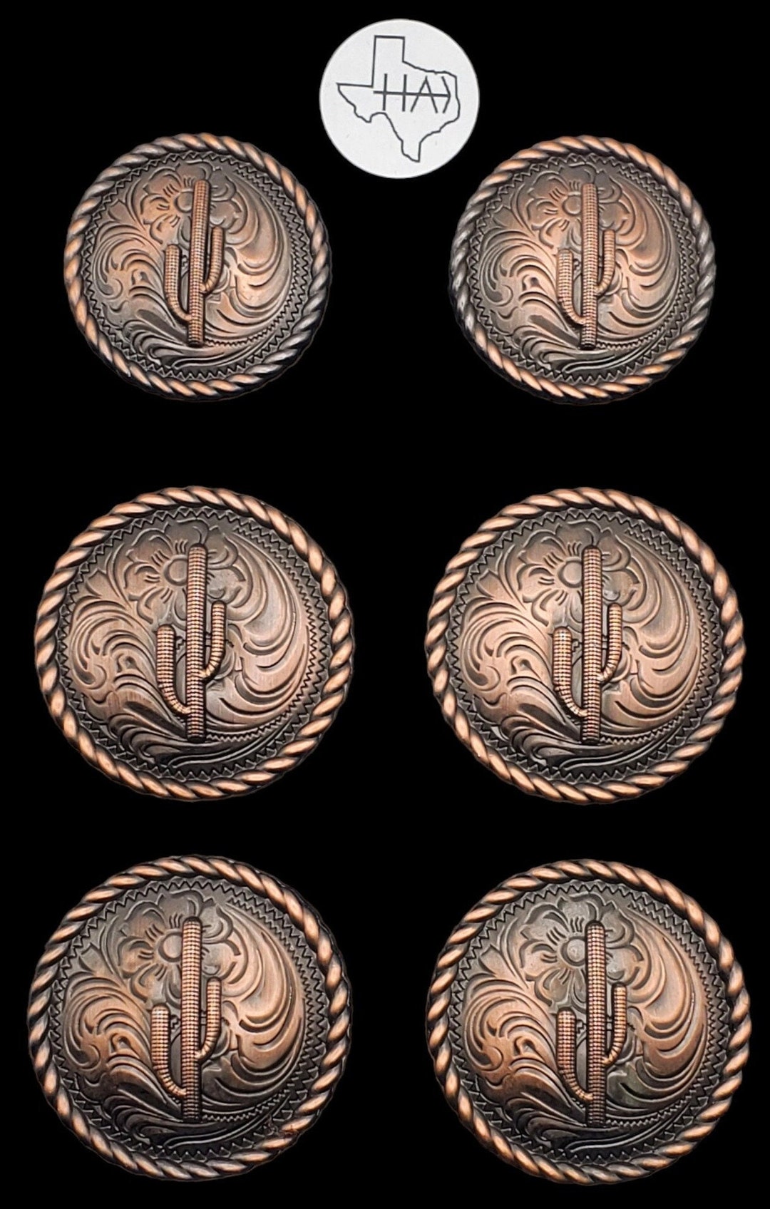 Set of 6 - Saddle Set Conchos With Cactus in Antique Copper - Etsy