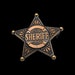 1-1/2" Antique Brass Pin-back Sheriff Badge - Etsy