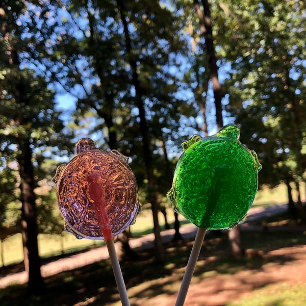 Turtle Lollipops - Etsy