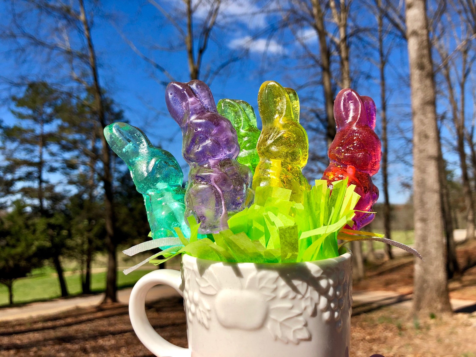 Bunny Lollipops, Peter Rabbit Party Favors, Spring Candy, Set of 12 - Etsy