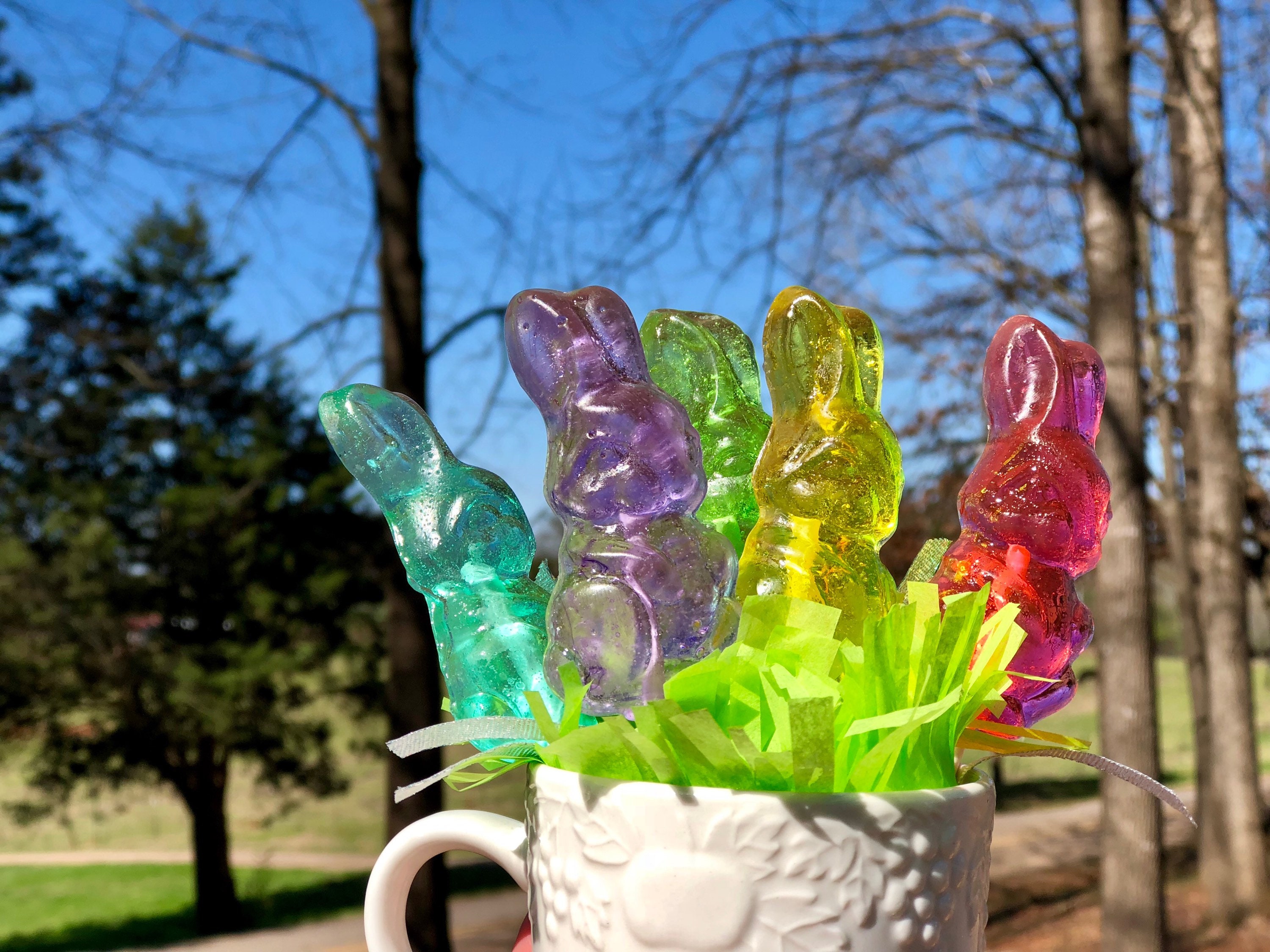 Bunny Lollipops, Peter Rabbit Party Favors, Spring Candy, Set of 12 - Etsy