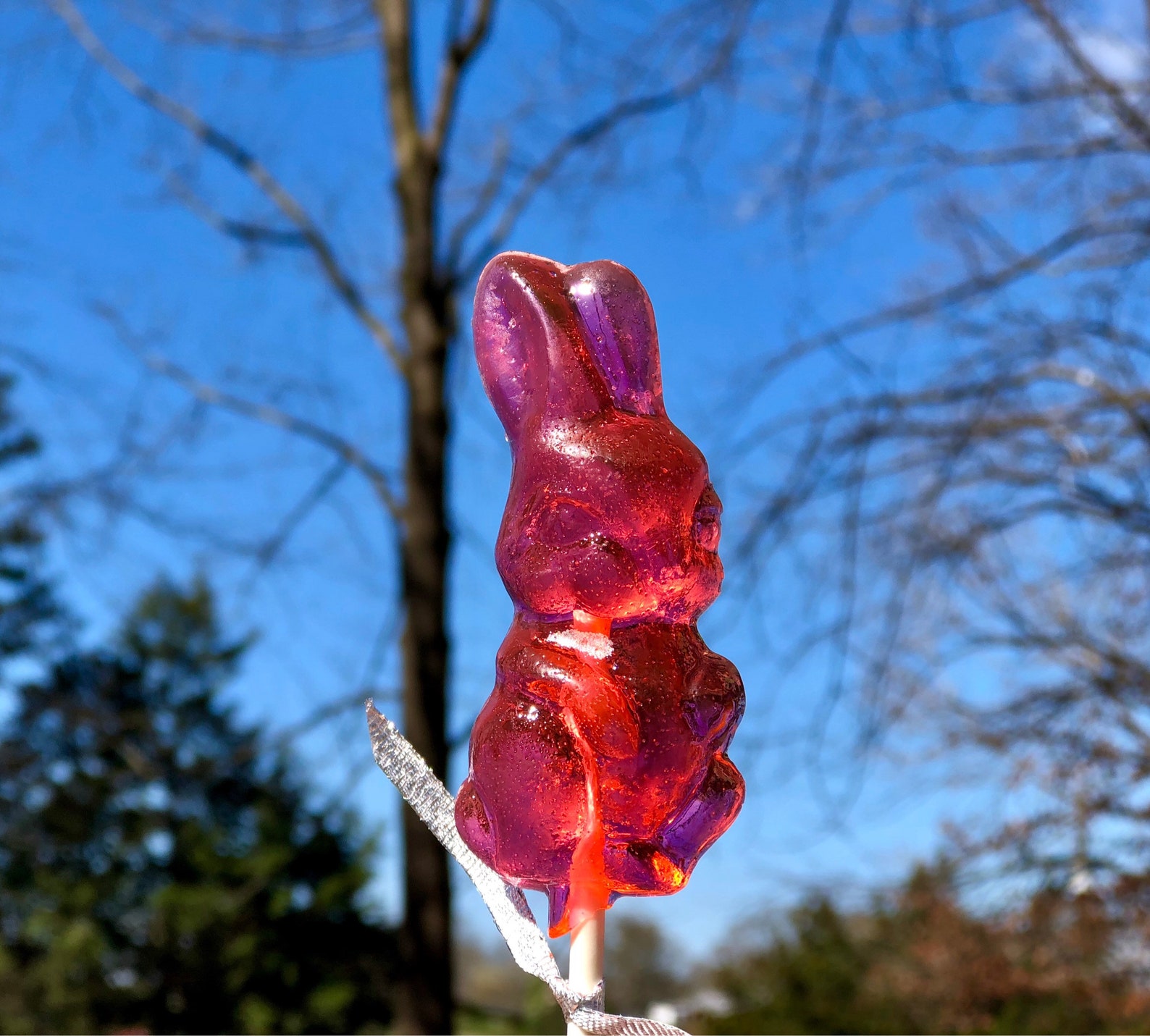 Bunny Lollipops, Peter Rabbit Party Favors, Spring Candy, Set of 12 - Etsy