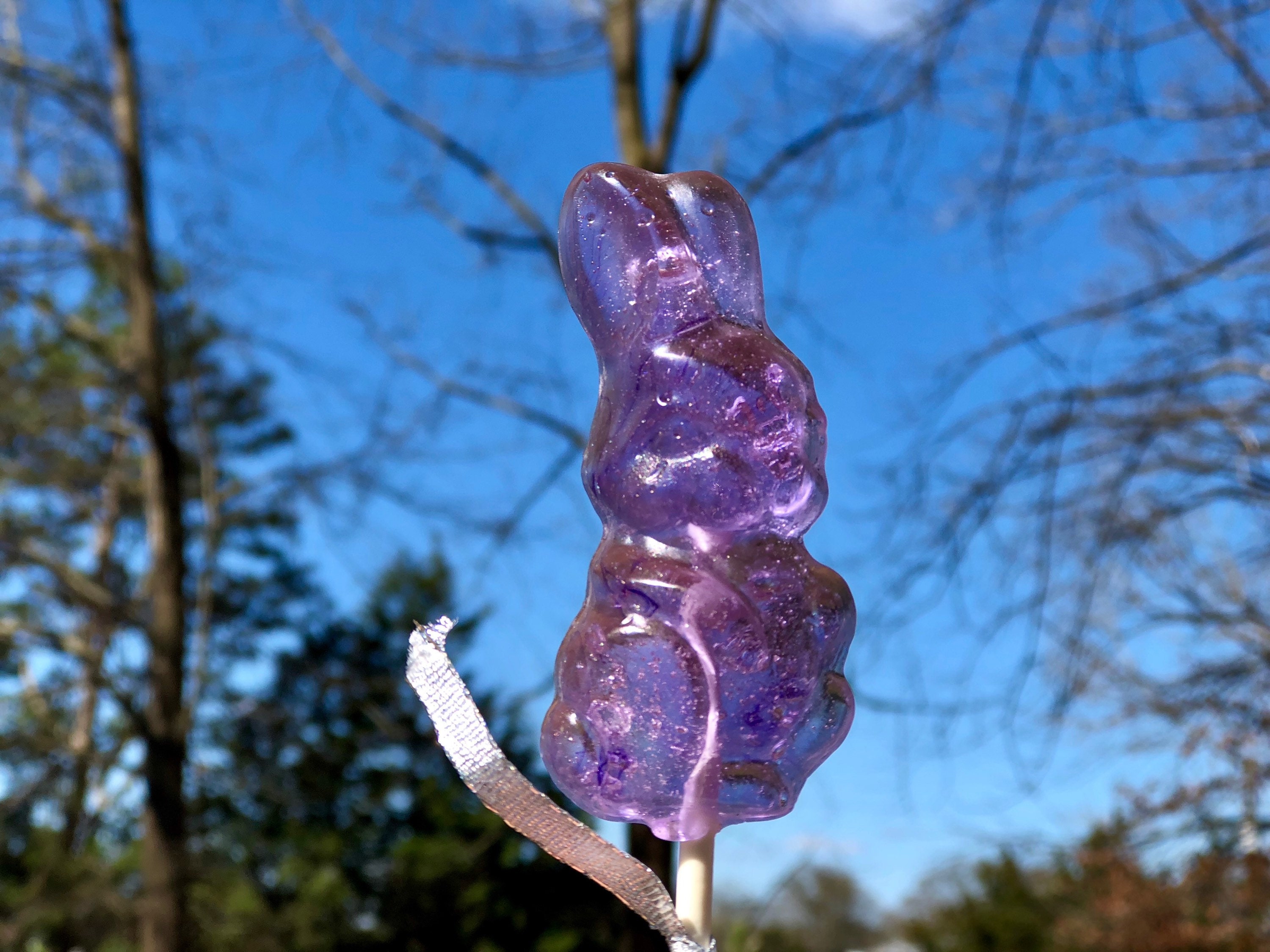 Bunny Lollipops, Peter Rabbit Party Favors, Spring Candy, Set of 12 - Etsy