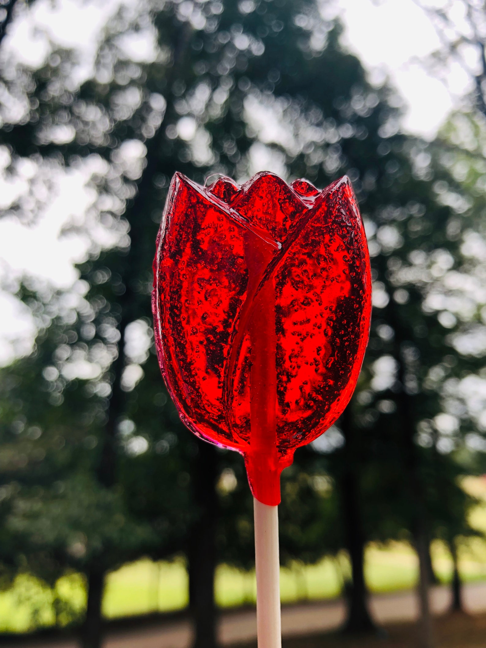 Tulip Lollipops: Gourmet Spring Favors, Flower Candy (set of 12) - Etsy