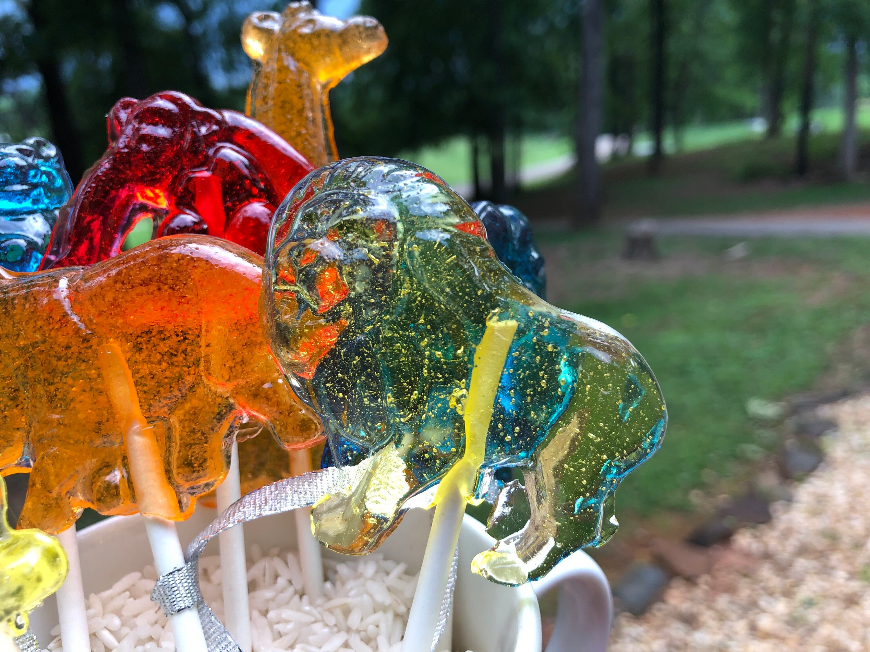 Zoo Animal Lollipops 12 Circus Animal Party Favors Baby | Etsy