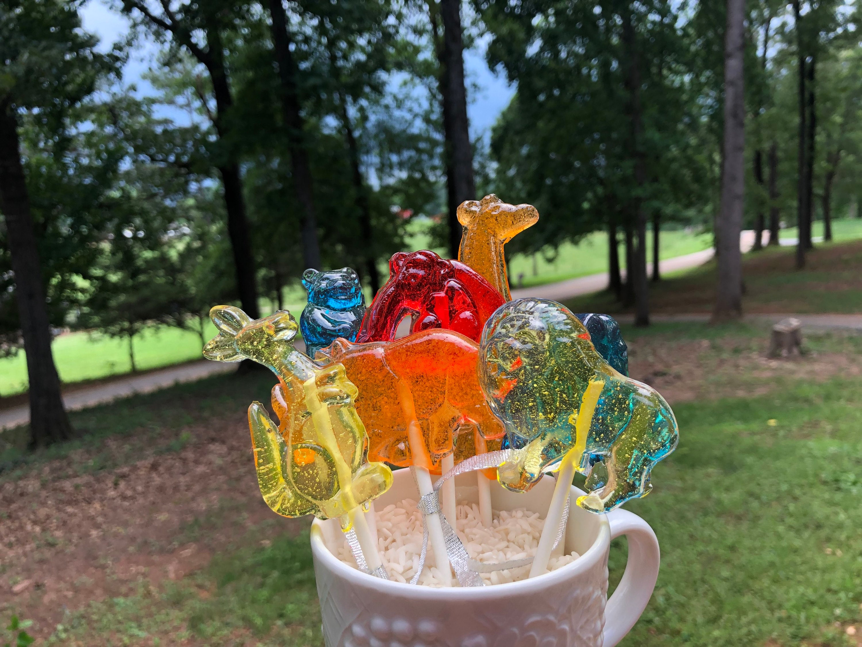 Zoo Animal Lollipops 12 Circus Animal Party Favores Baby - Etsy España