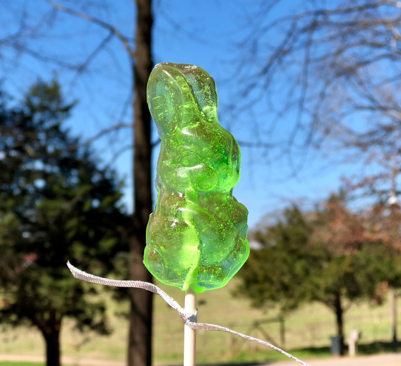 Bunny Lollipops, Peter Rabbit Party Favors, Spring Candy, Set of 12 - Etsy