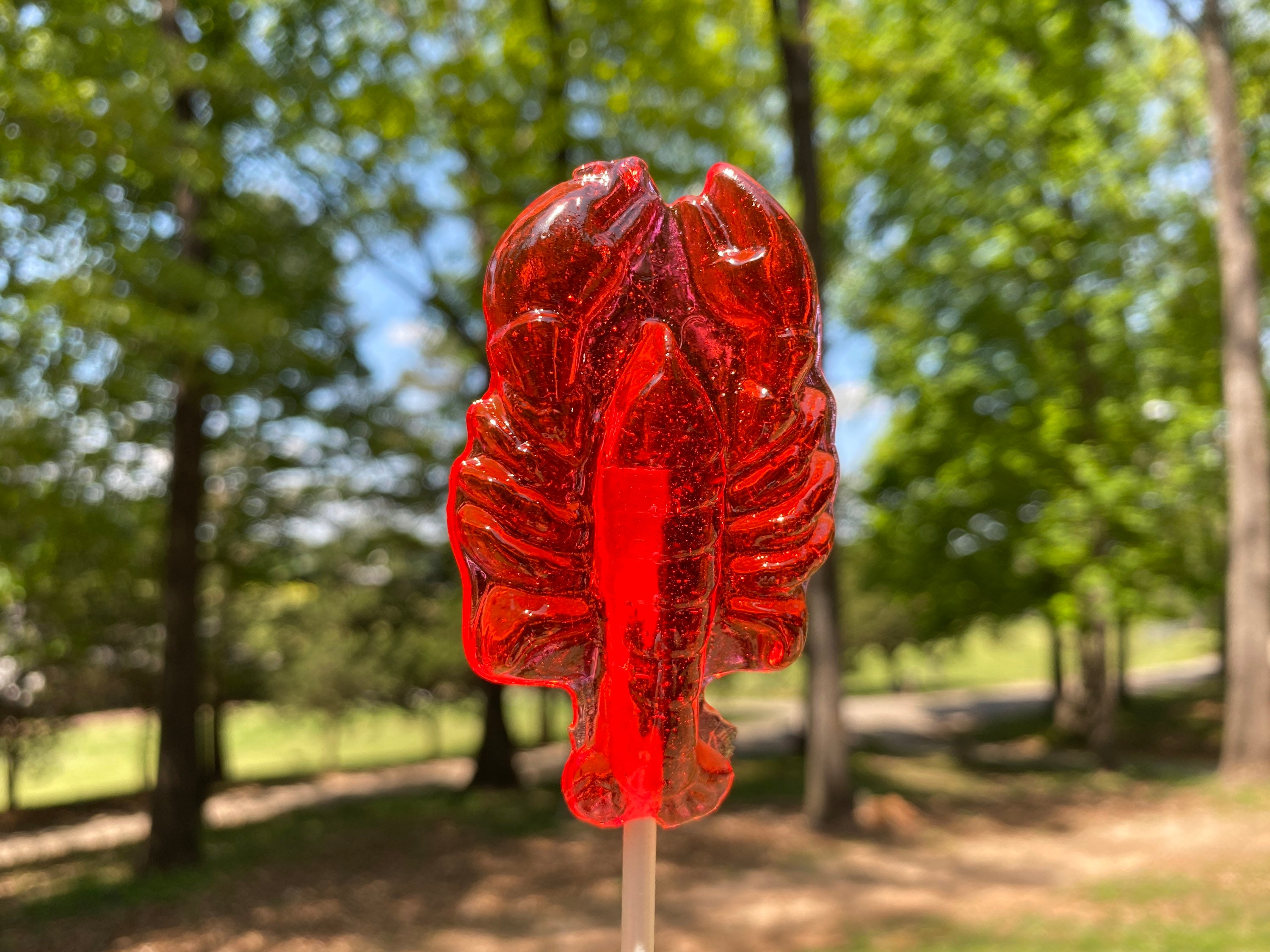 Christmas Barley Lollipops
