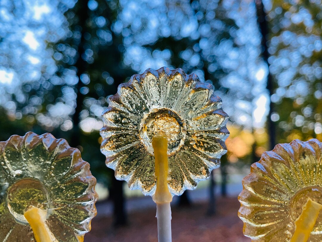 Daisy Honey Lollipops: Spring Wedding Favors, Set of 12 - Etsy