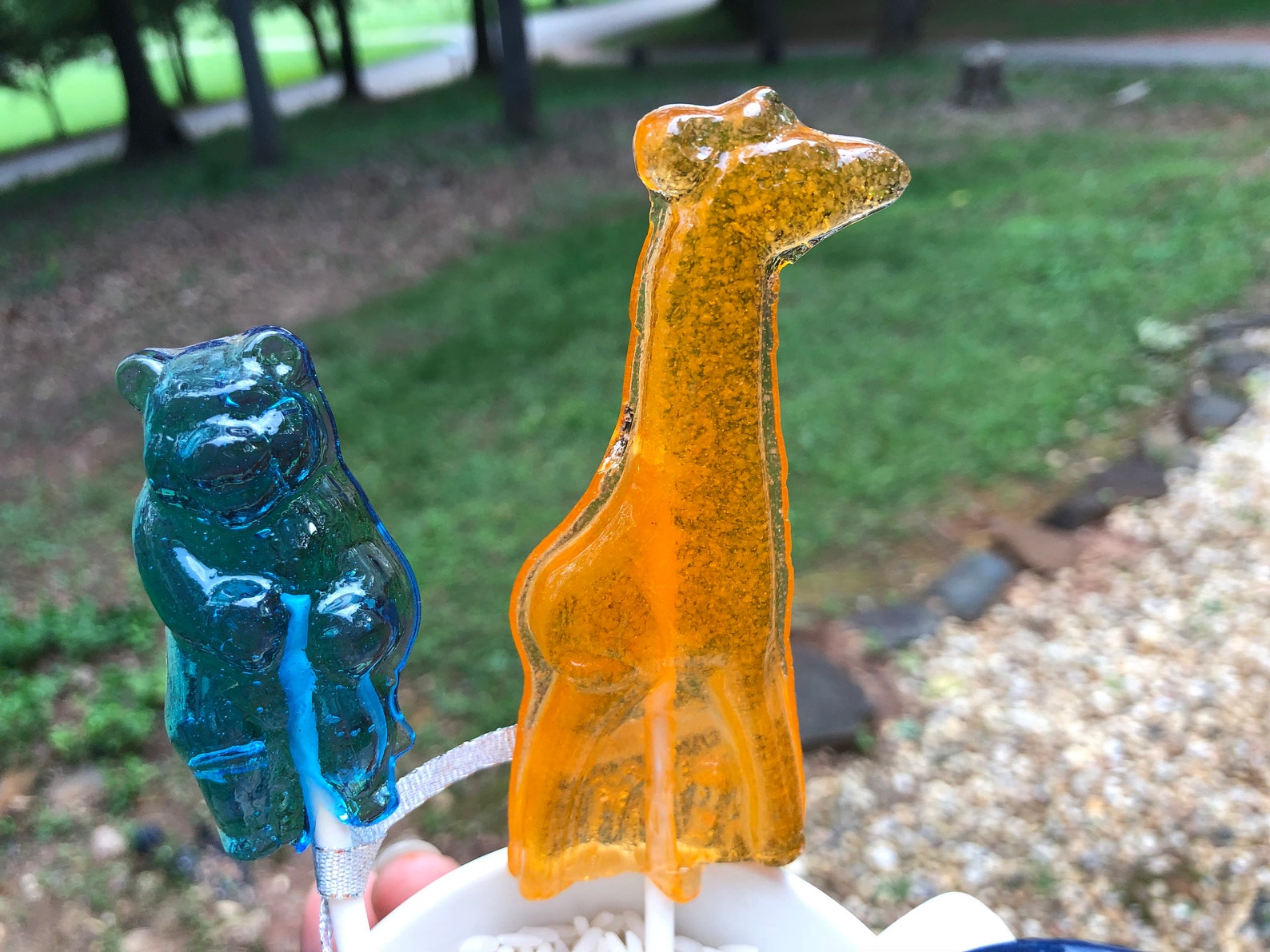 Zoo Animal Lollipops 24 Circus Animal Party Favors Baby - Etsy