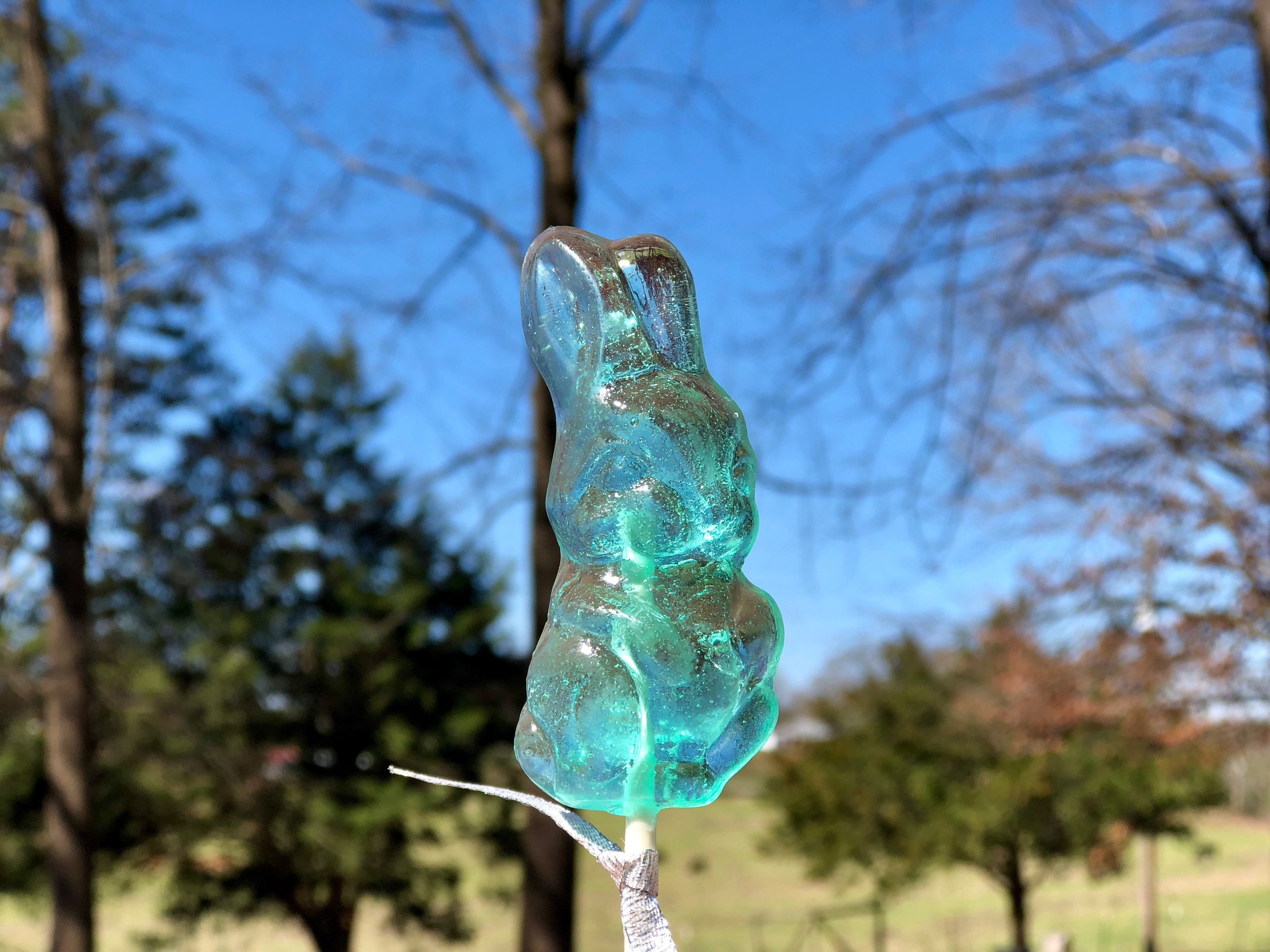 Bunny Lollipops, Peter Rabbit Party Favors, Spring Candy, Set of 12 - Etsy