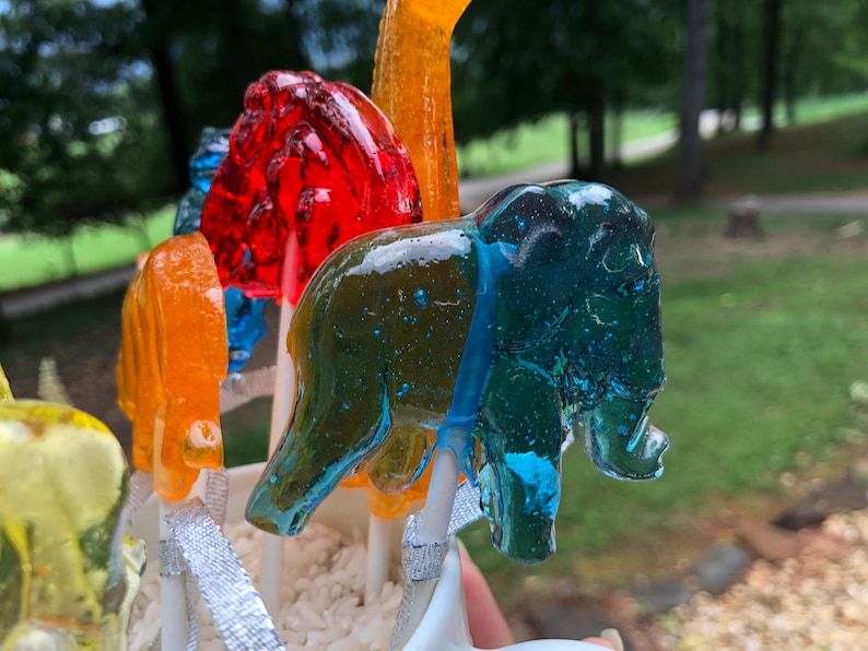 Zoo Animal Lollipops: Safari Favors, Circus Party Favors (12 Count) - Etsy