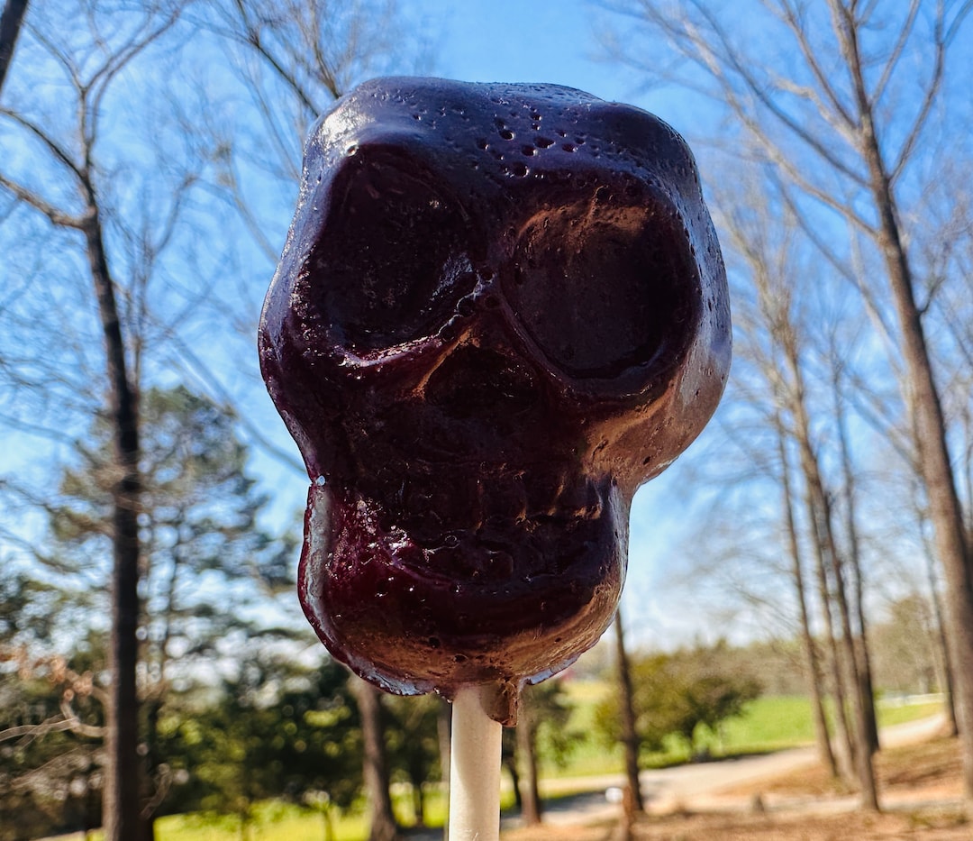 Skeleton Lollipops 12, Party Favors - Etsy