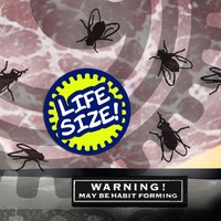 Fly Sticker - Etsy